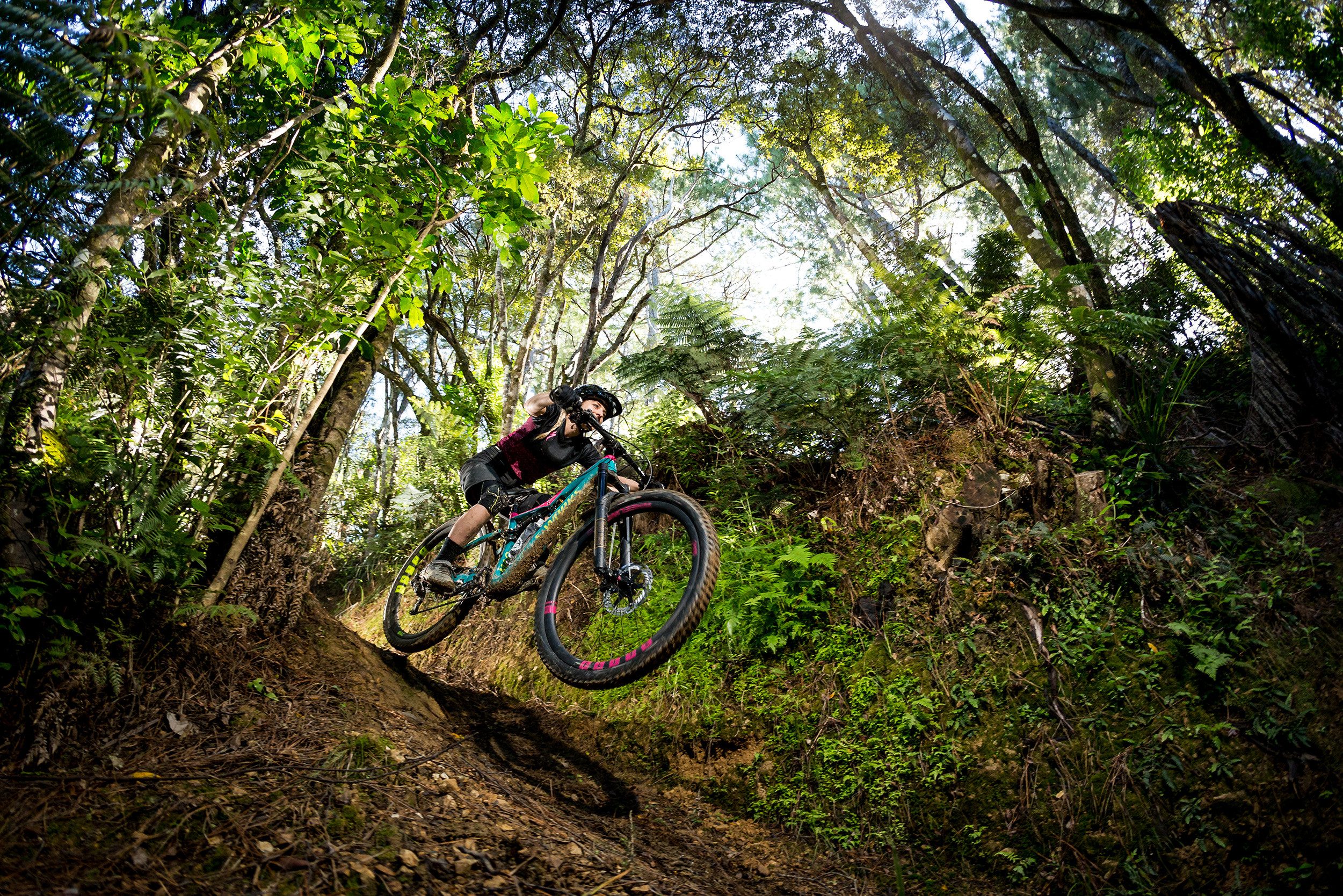 Story: Waitangi Mountain Bike Park - NZ Mountain Biker Magazine