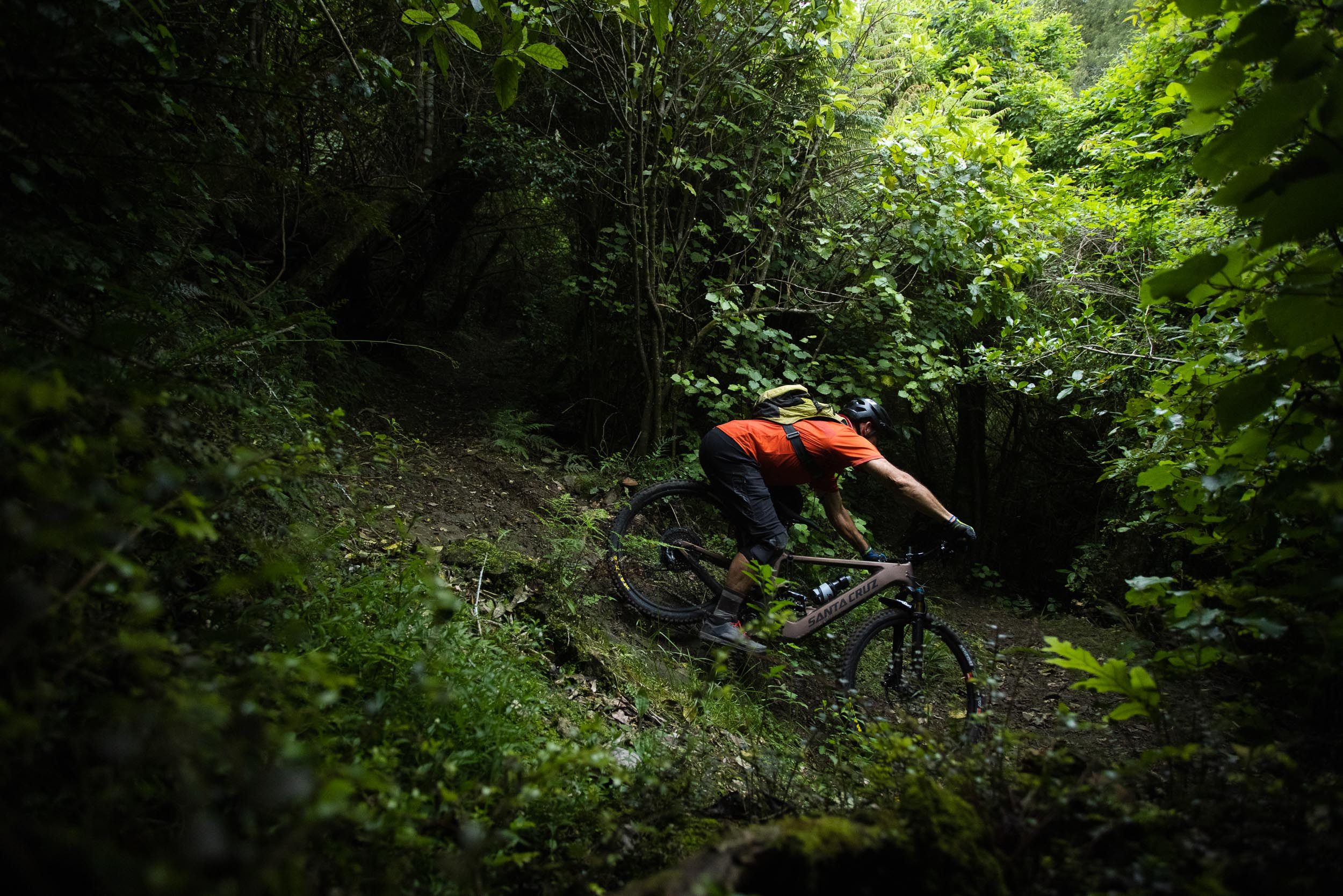 Review: Santa Cruz Bullit - NZ Mountain Biker Magazine