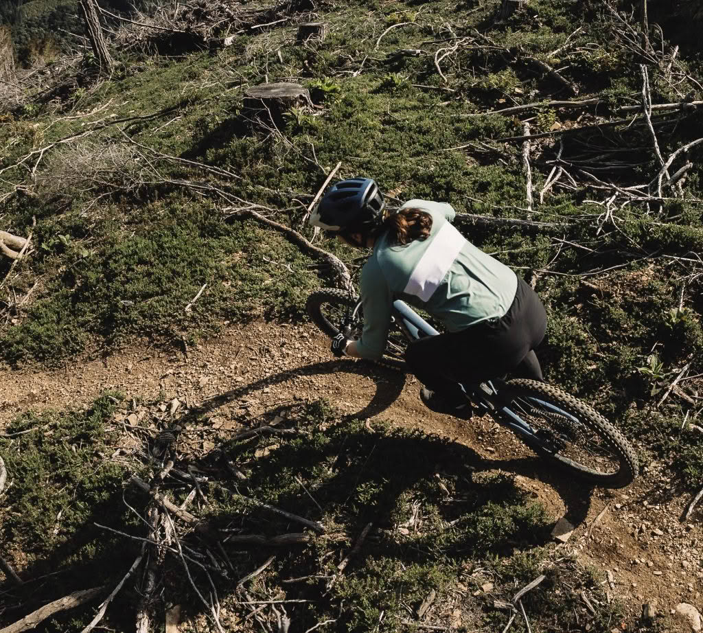 Big Timber: Where would we be without it? - NZ Mountain Biker Magazine