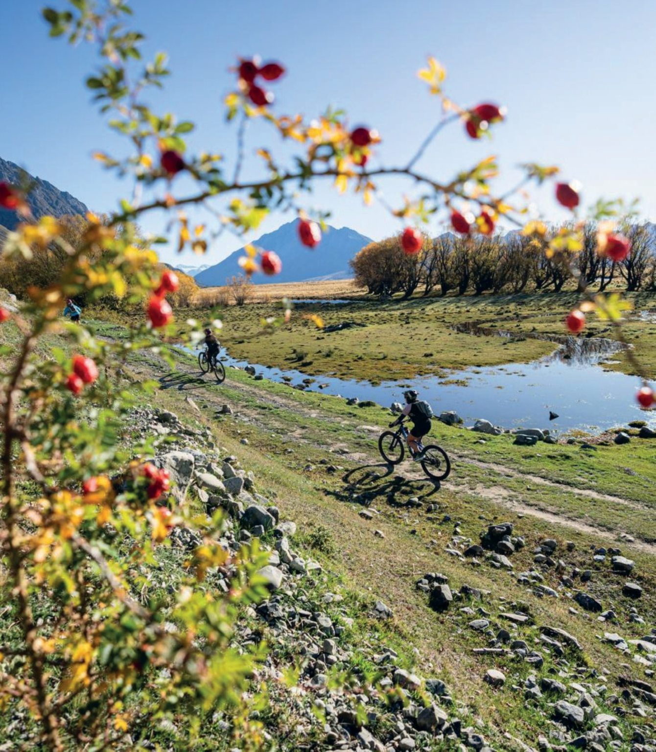 The Mackenzie Race - NZ Mountain Biker Magazine